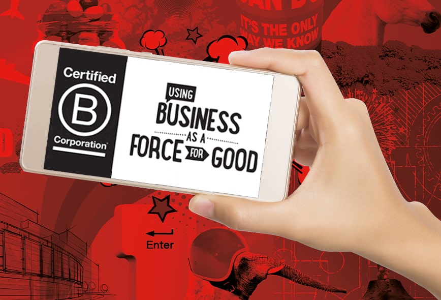 PURPOSE IS POWER: THE BARNSTORMING B CORPS REINVENTING BUSINESS SUCCESS ...